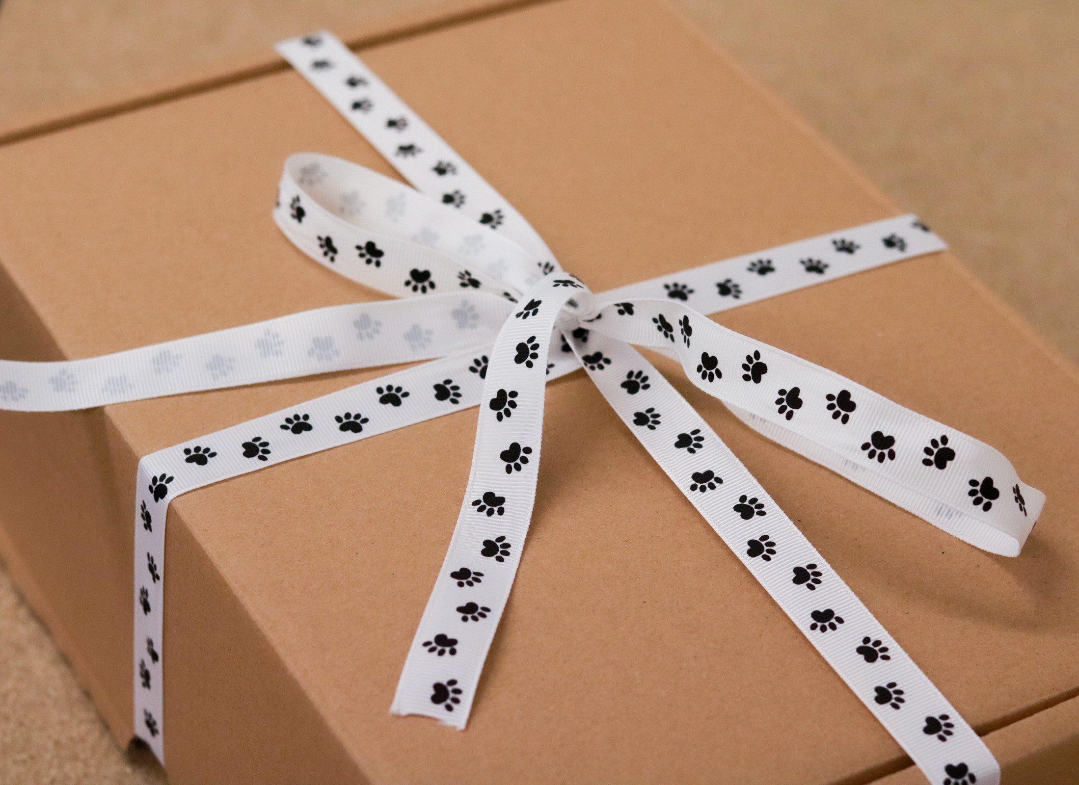 Gift Boxes For Dogs and Cats Of All Sizes