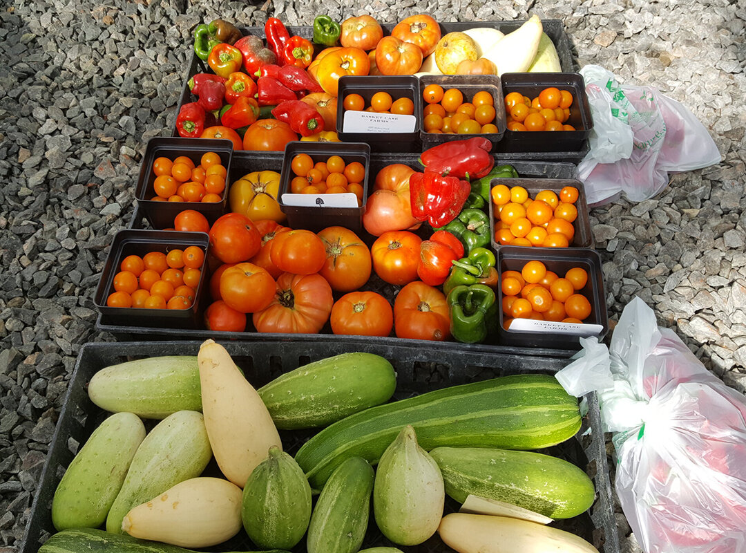 Community Outreach — Basket Case Farms