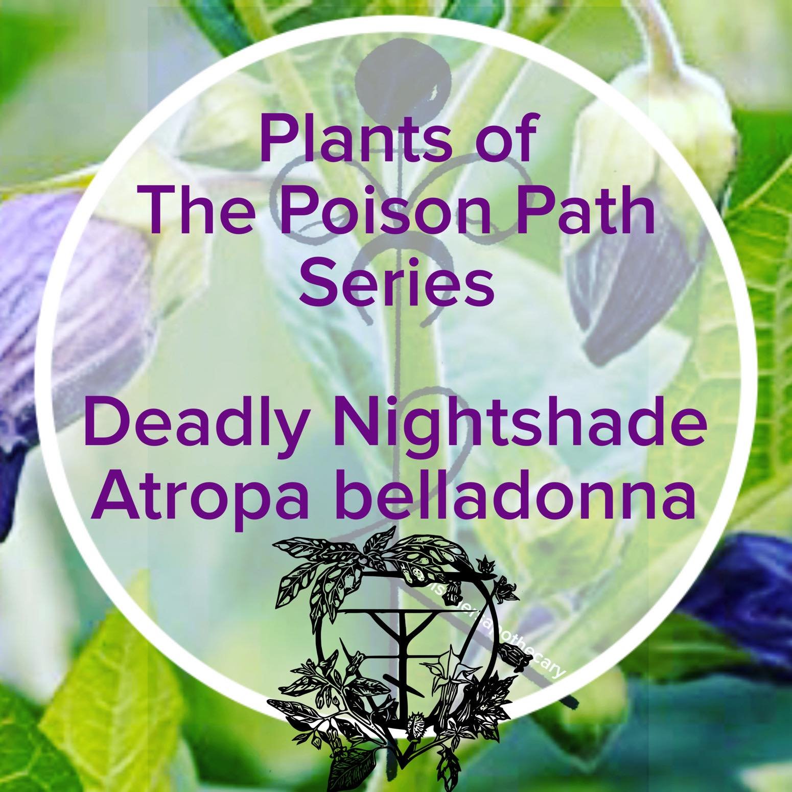 Shop — The Poisoner's Apothecary