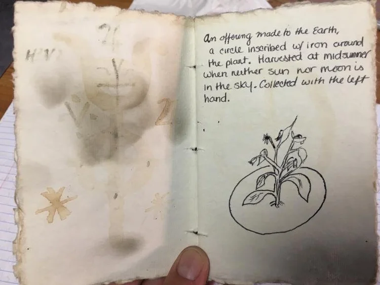 A Collection of Mandrake Folklore — The Poisoner's Apothecary