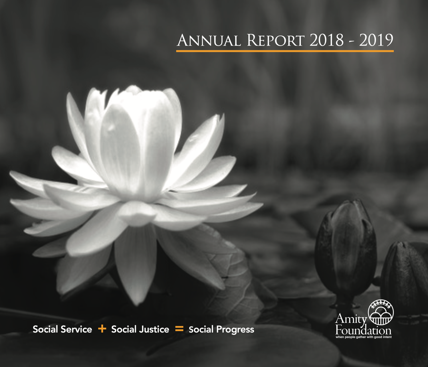 Annual Reports — Amity Foundation