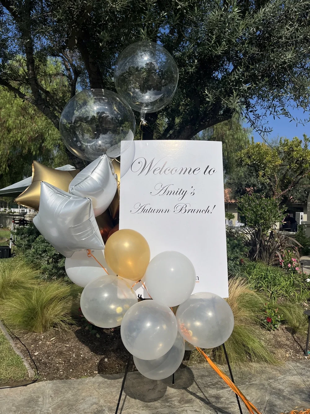 Gallery of Photos from Amity’s First Annual Autumn Brunch — Amity ...