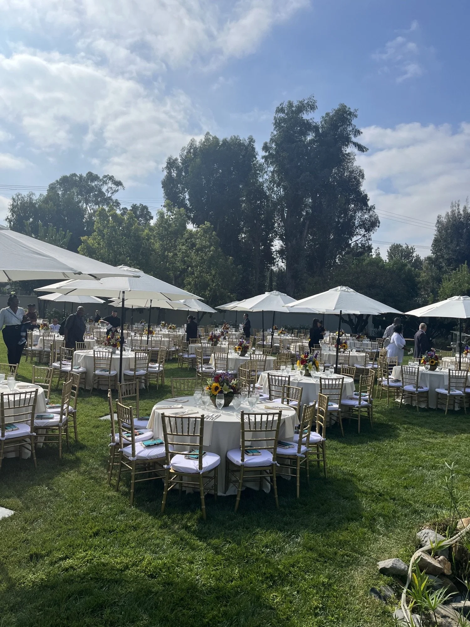 Gallery of Photos from Amity’s First Annual Autumn Brunch — Amity ...