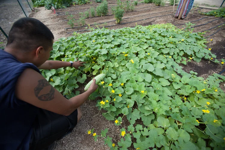 Circle Tree Ranch — Amity Foundation