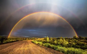 Circle Tree Ranch — Amity Foundation