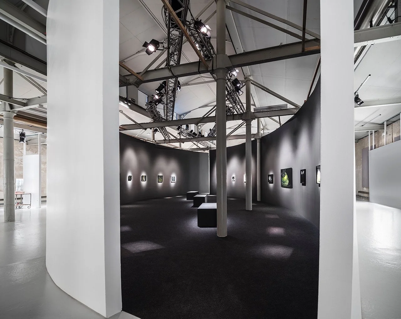 Slowly Poisoned | Anna Camner