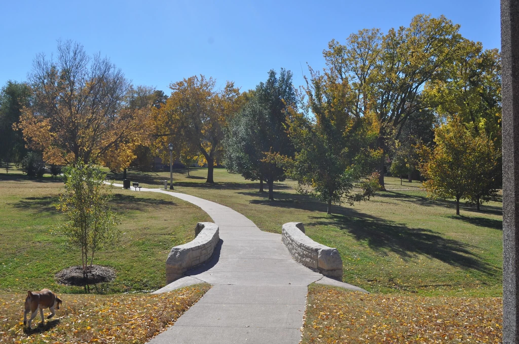 College Hill Neighborhood Association