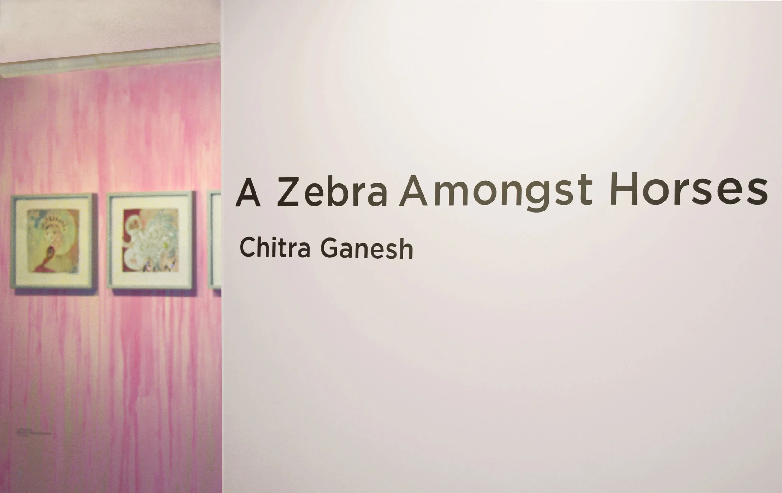 A Zebra Among Horses, Gallery Espace New Delhi — Chitra Ganesh