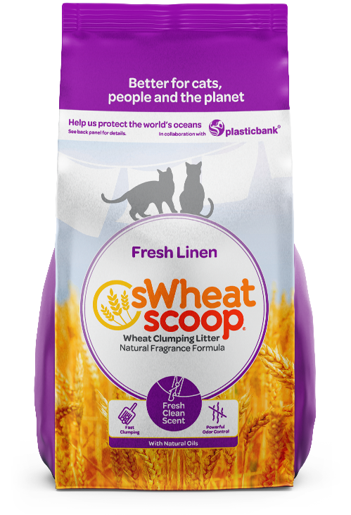 Multi-Cat | All-Natural 100% Wheat Cat Litter — sWheat Scoop