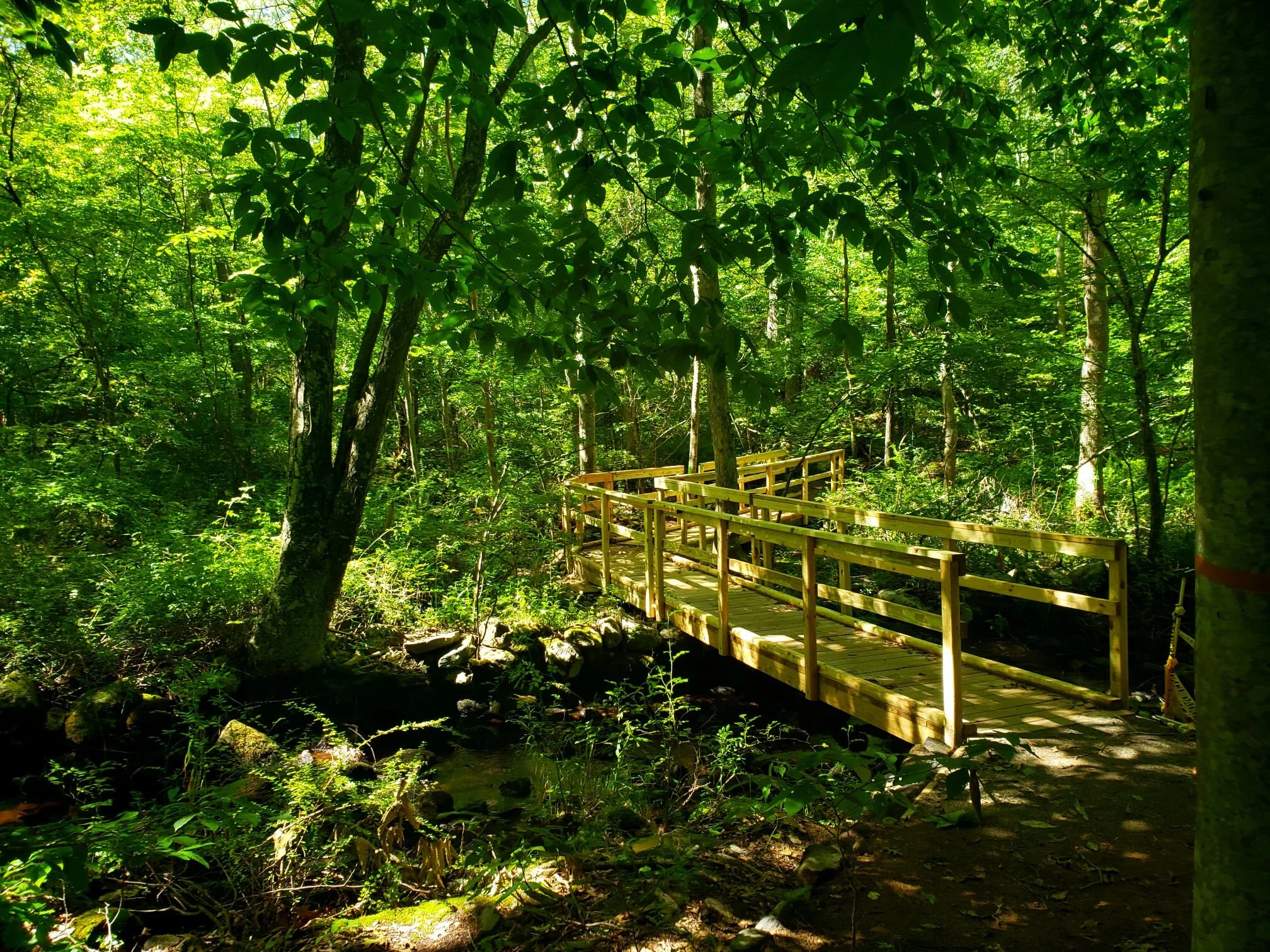 Donate — Tri Town Trail Association