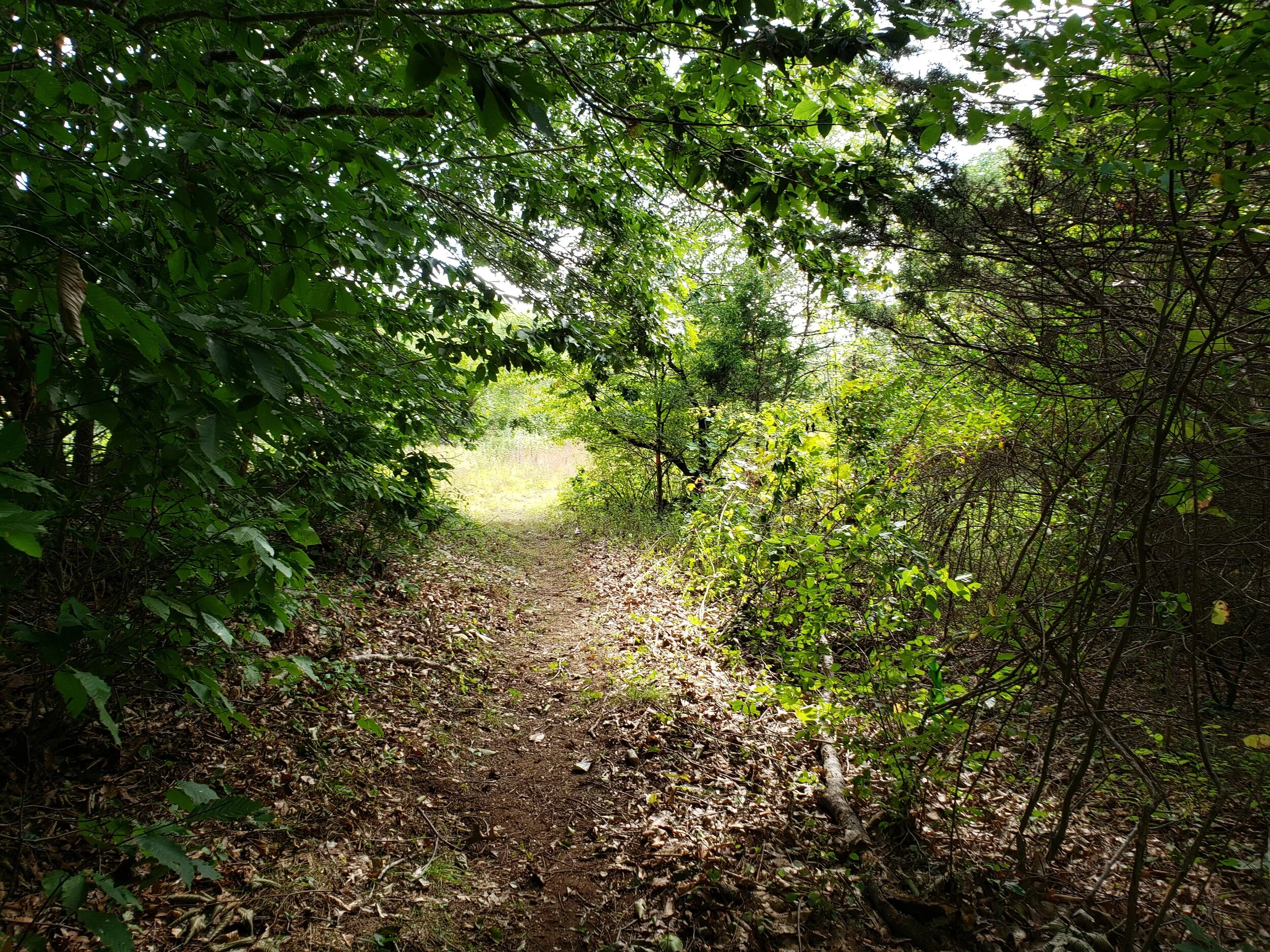 Hike the Trail — Tri Town Trail Association