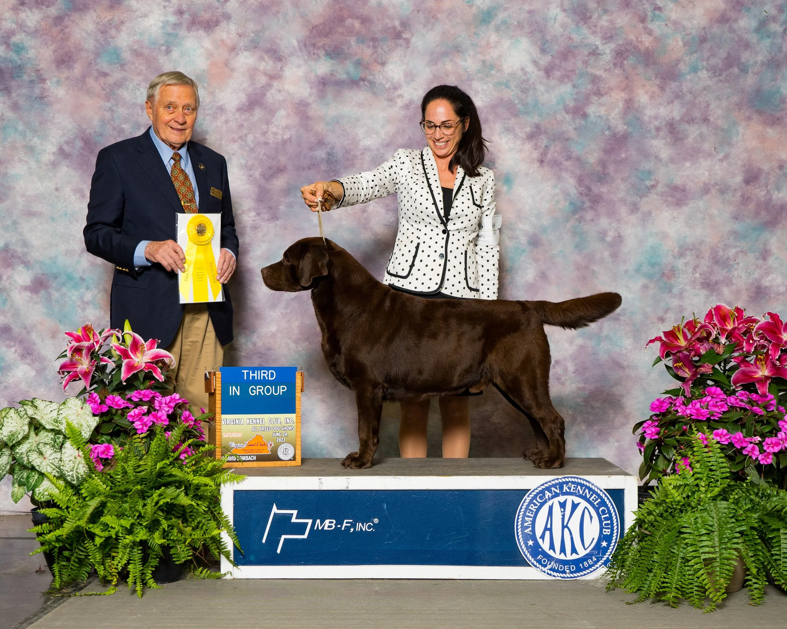 About 1 — Diamond C Labradors: We have puppies available!