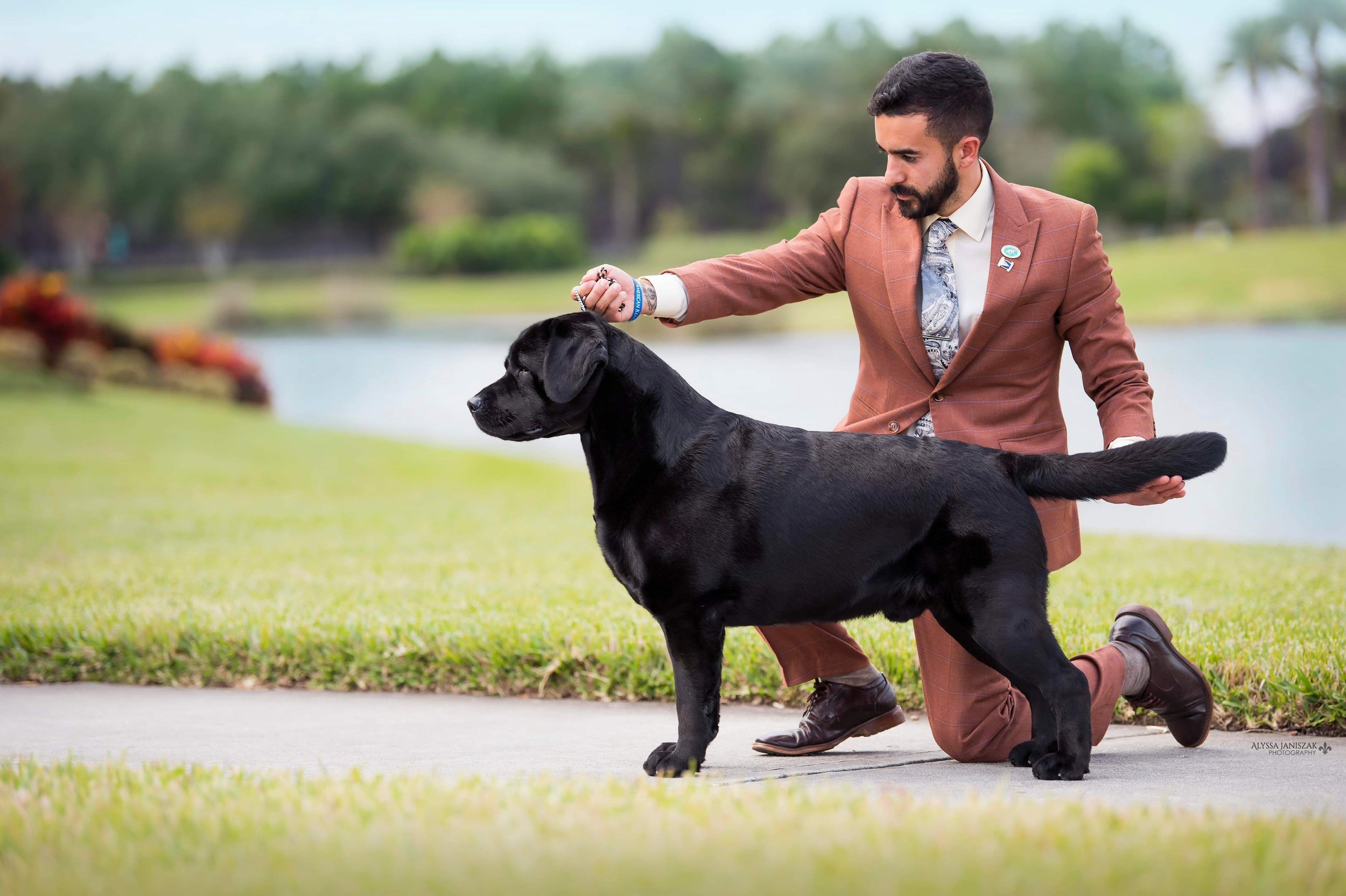 General 1 — Diamond C Labradors