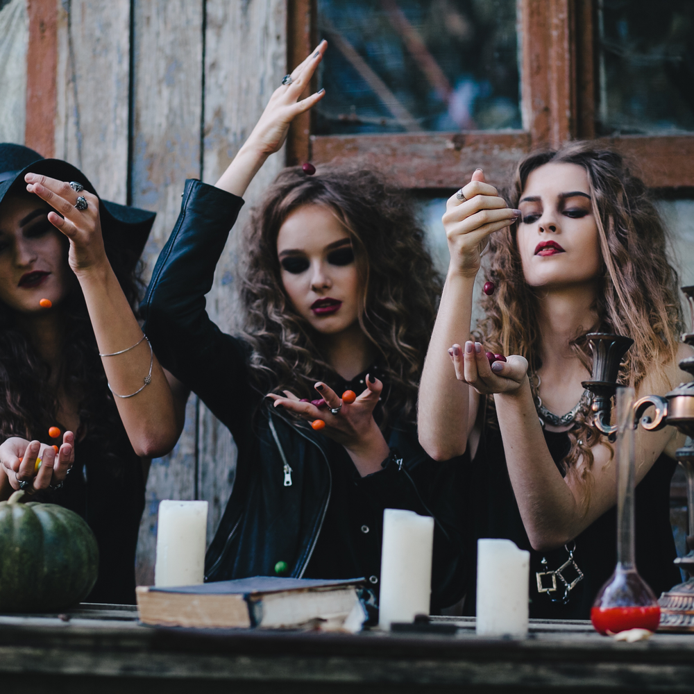 Oddities: Gothic Decor — CHELSIDERMY | Oddities, bones, art, and taxidermy!