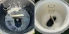 Zebron® — Integral High Performance Coatings