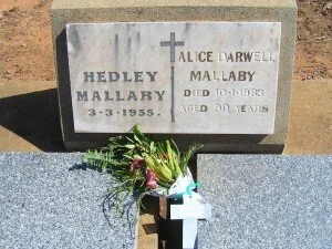 2017 Newsletter — Leeton Family & Local History Society Inc.