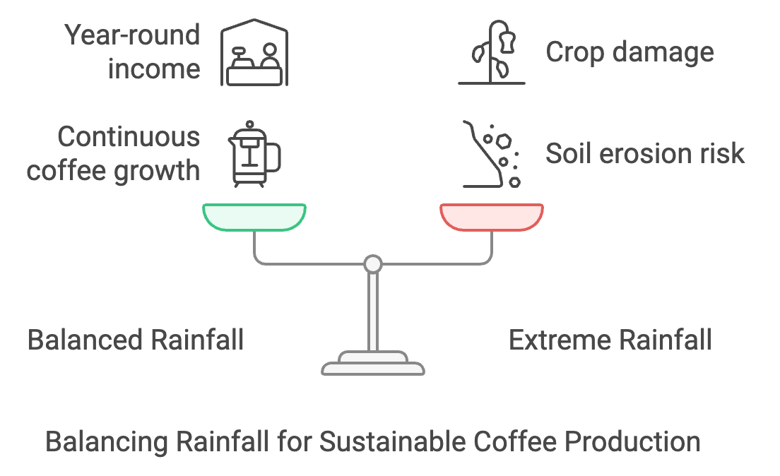 How Climate Shapes Coffee Flavor: Altitude, Temperature, Rainfall ...