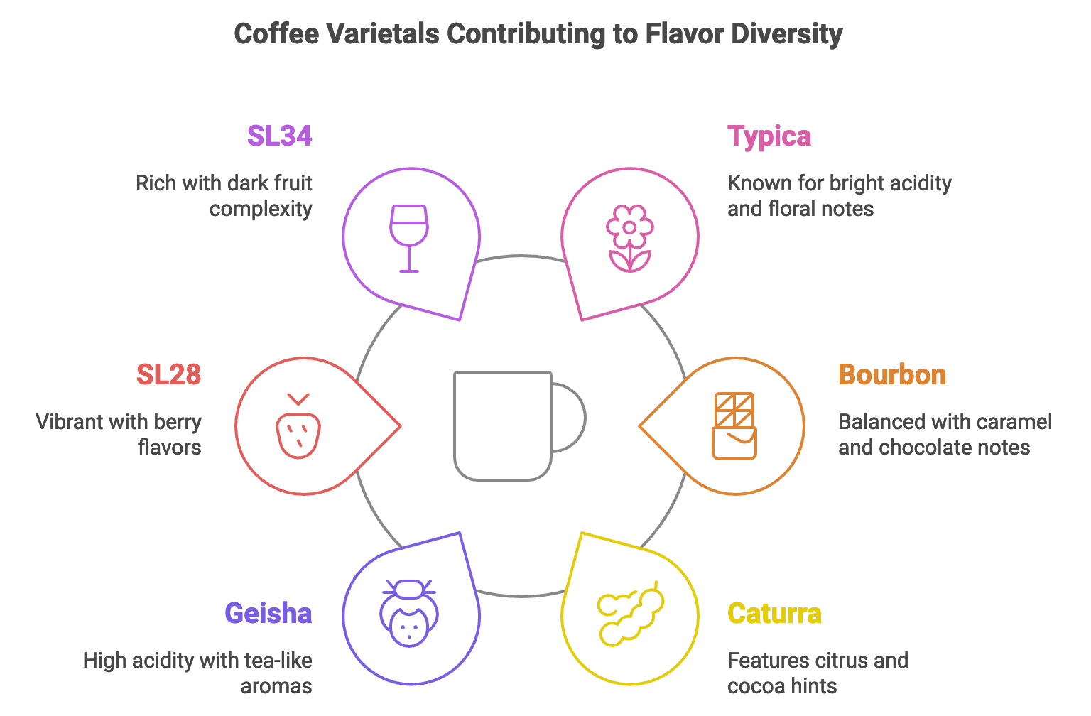 Explore Coffee Varietals: Discover How Species & Varietals Shape Flavor ...