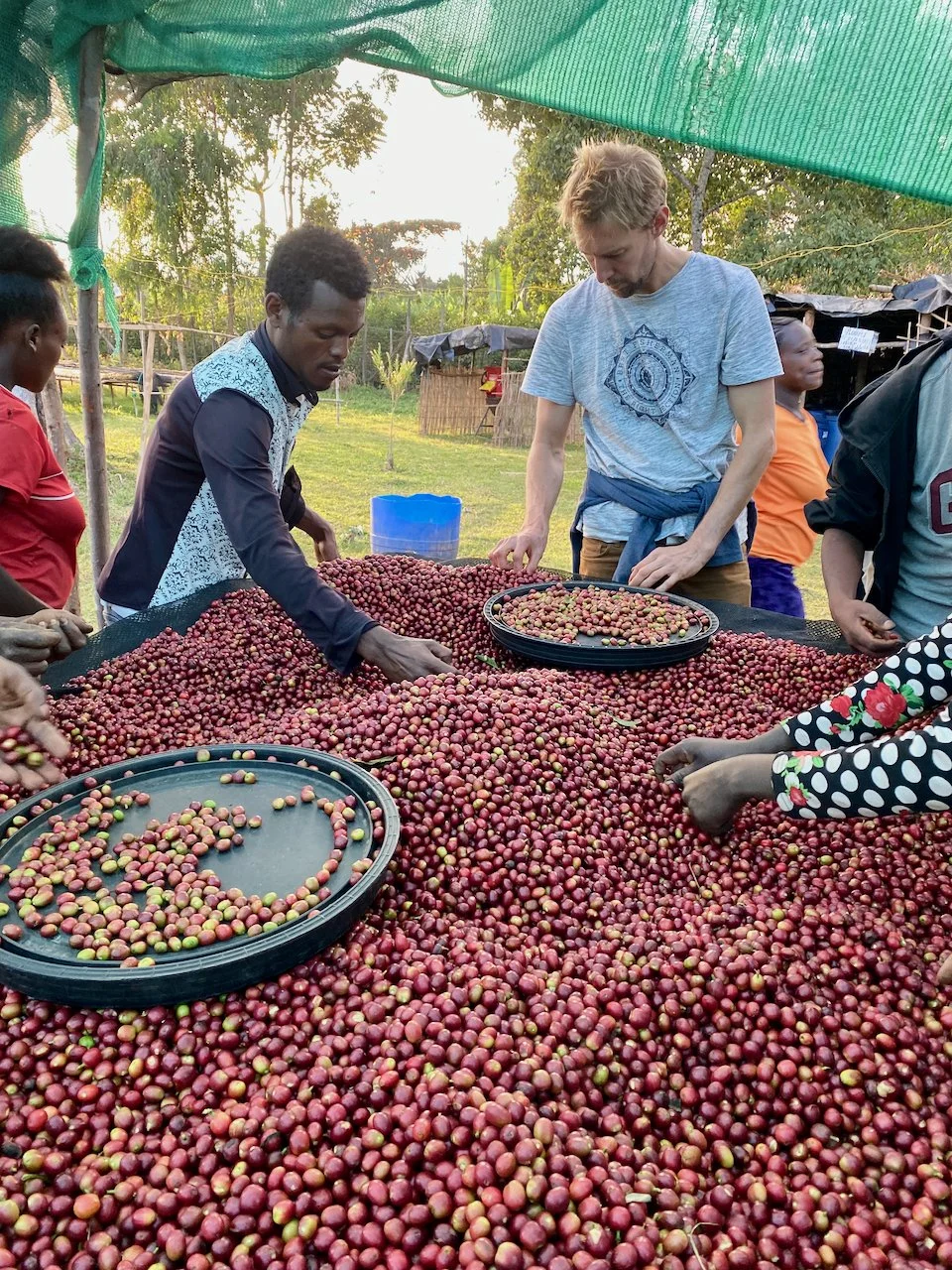 st. romain coffee
