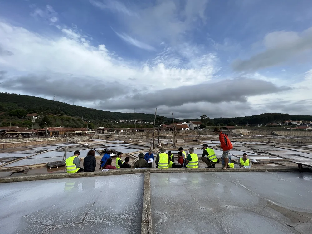 SALT BASINS TECHNICAL INTEREST GROUP FIELD TRIP -GeoTraining — Geo ...