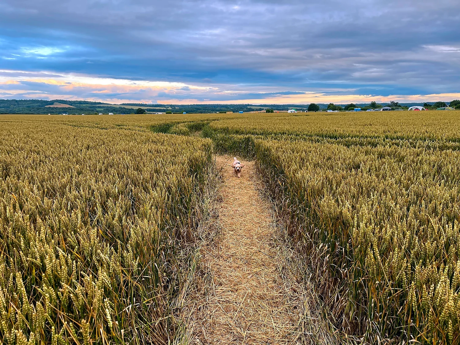 General 1 — Ridgeway Adventures
