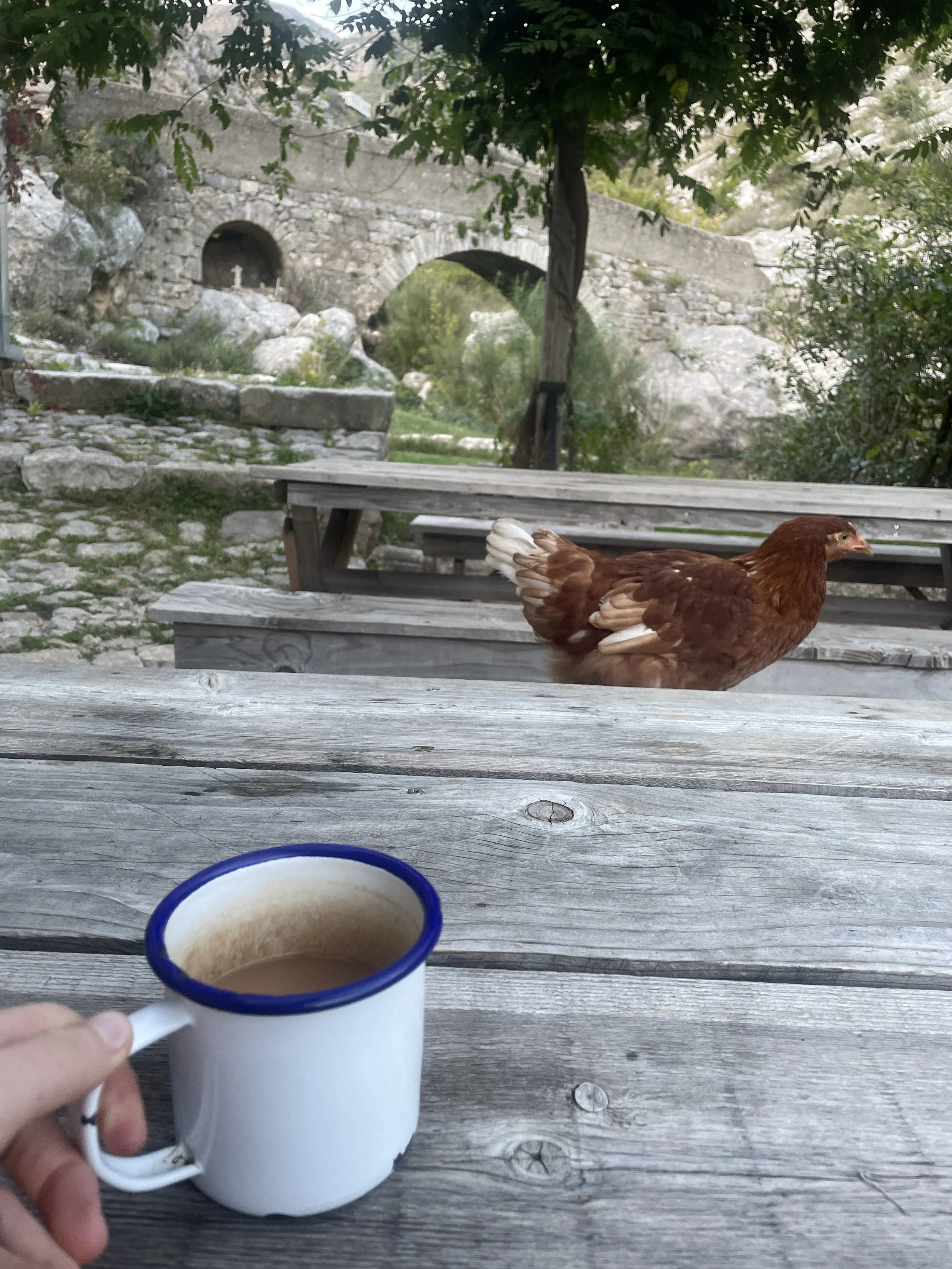 Yoga & breathwork with Lizzie.