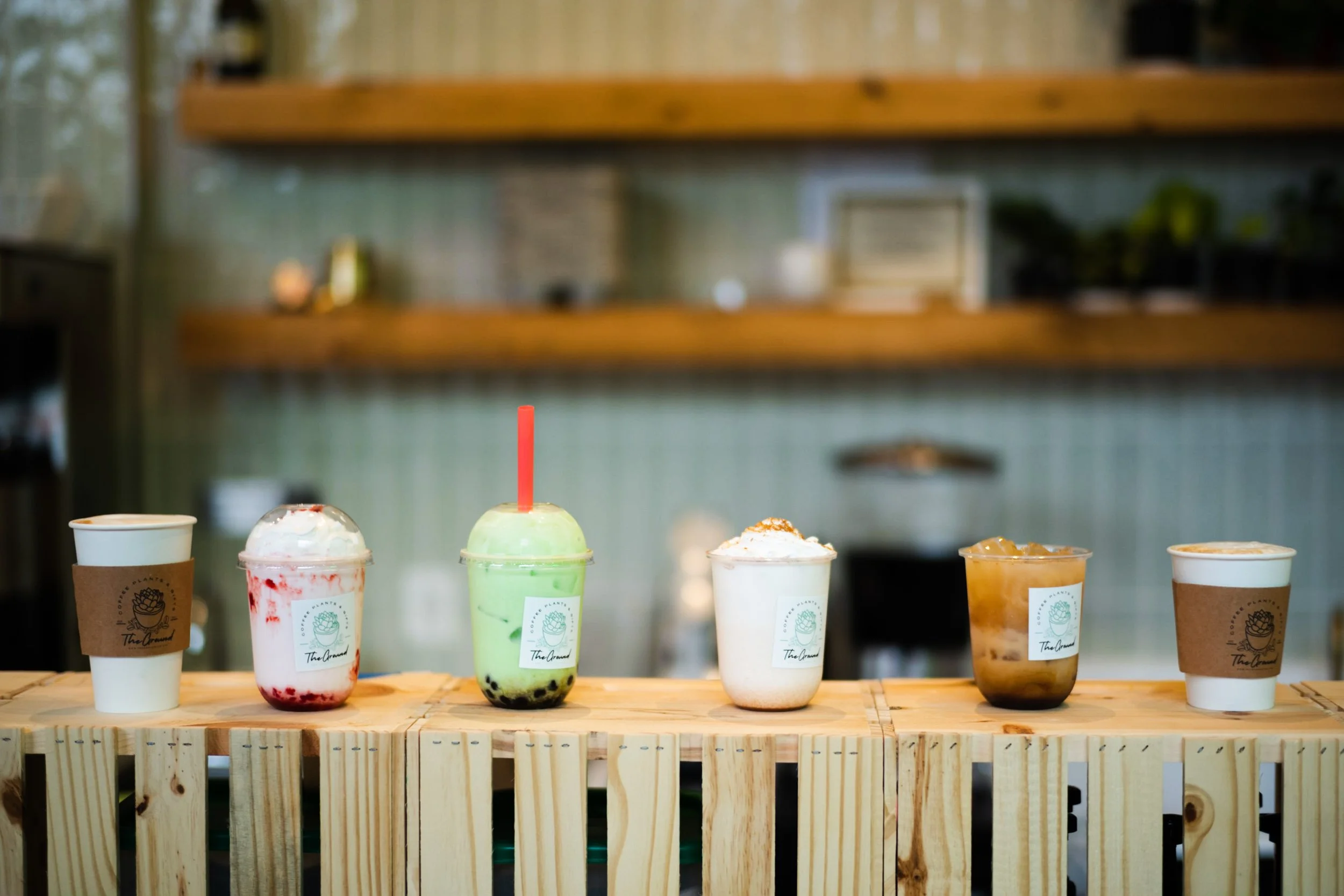 Menu 1 — The Ground Coffee Plants & Gifts