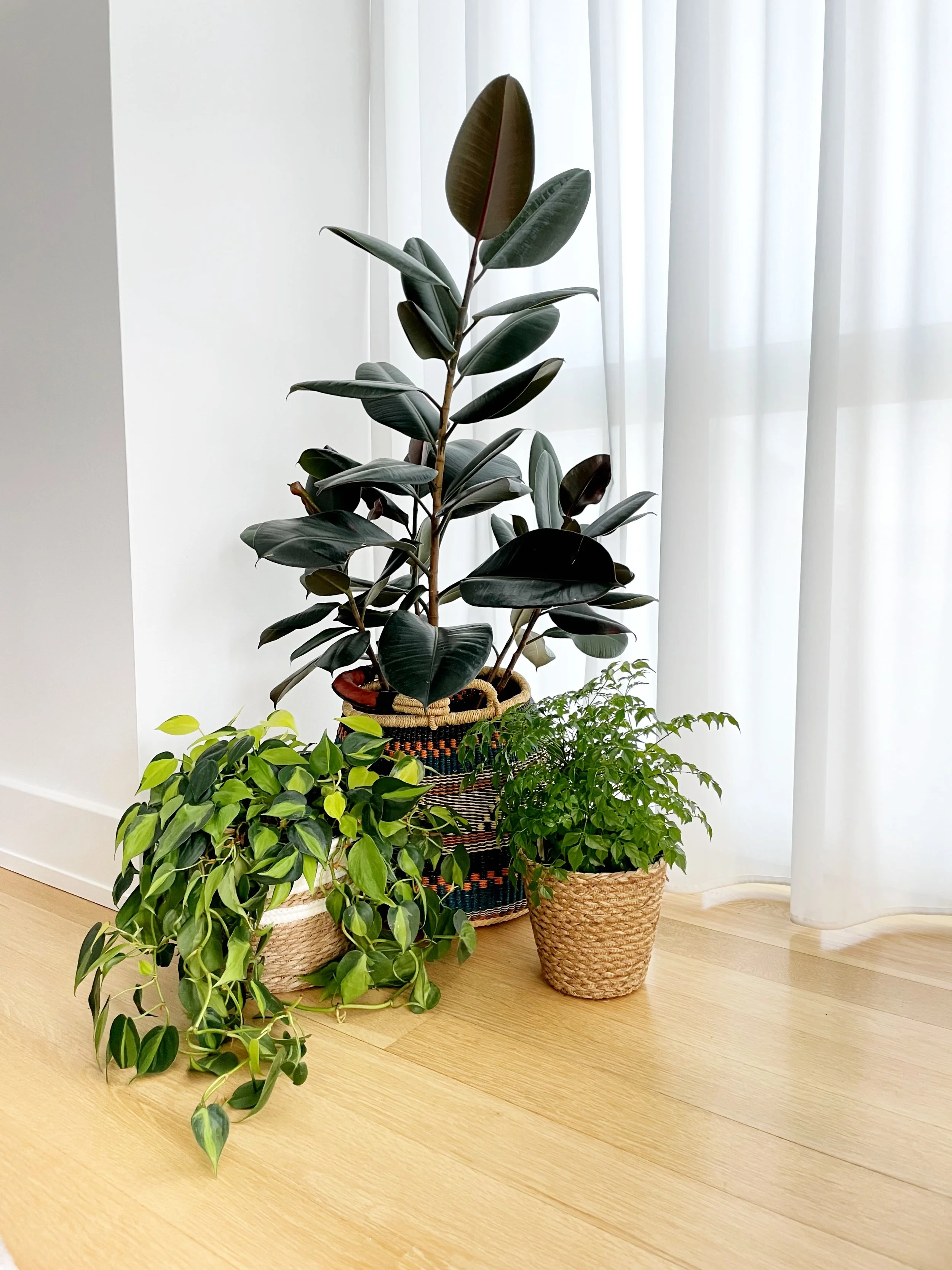 Plants, Pots, and Placement: 17 Expert Tips for Designing and ...