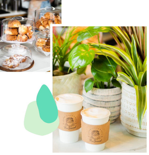 The Ground Coffee Plants & Gifts