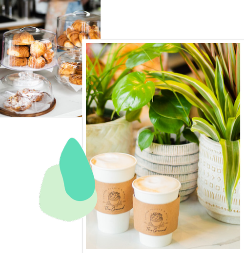 The Ground Coffee Plants & Gifts