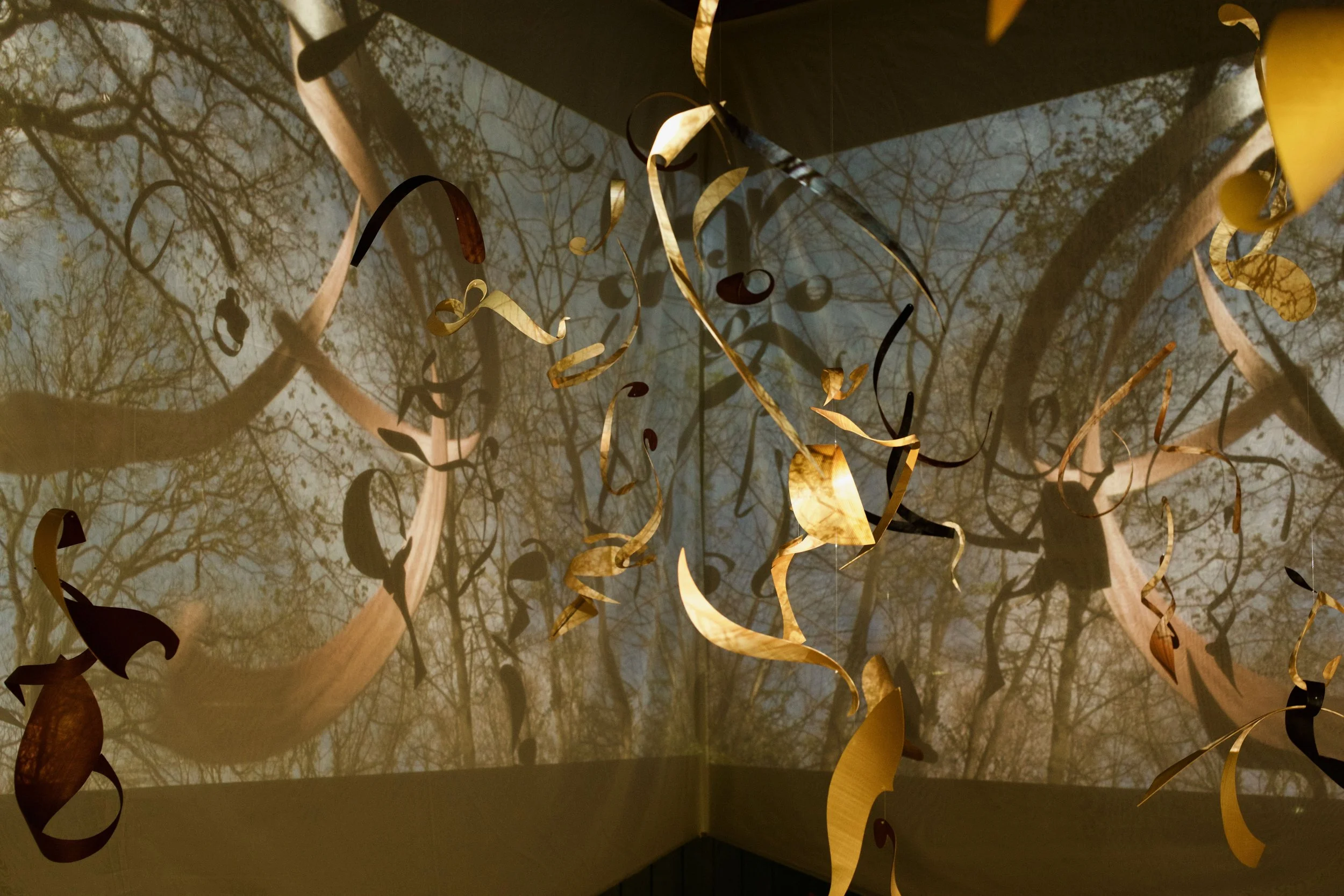 Windermere Jetty Museum — Dovetailing