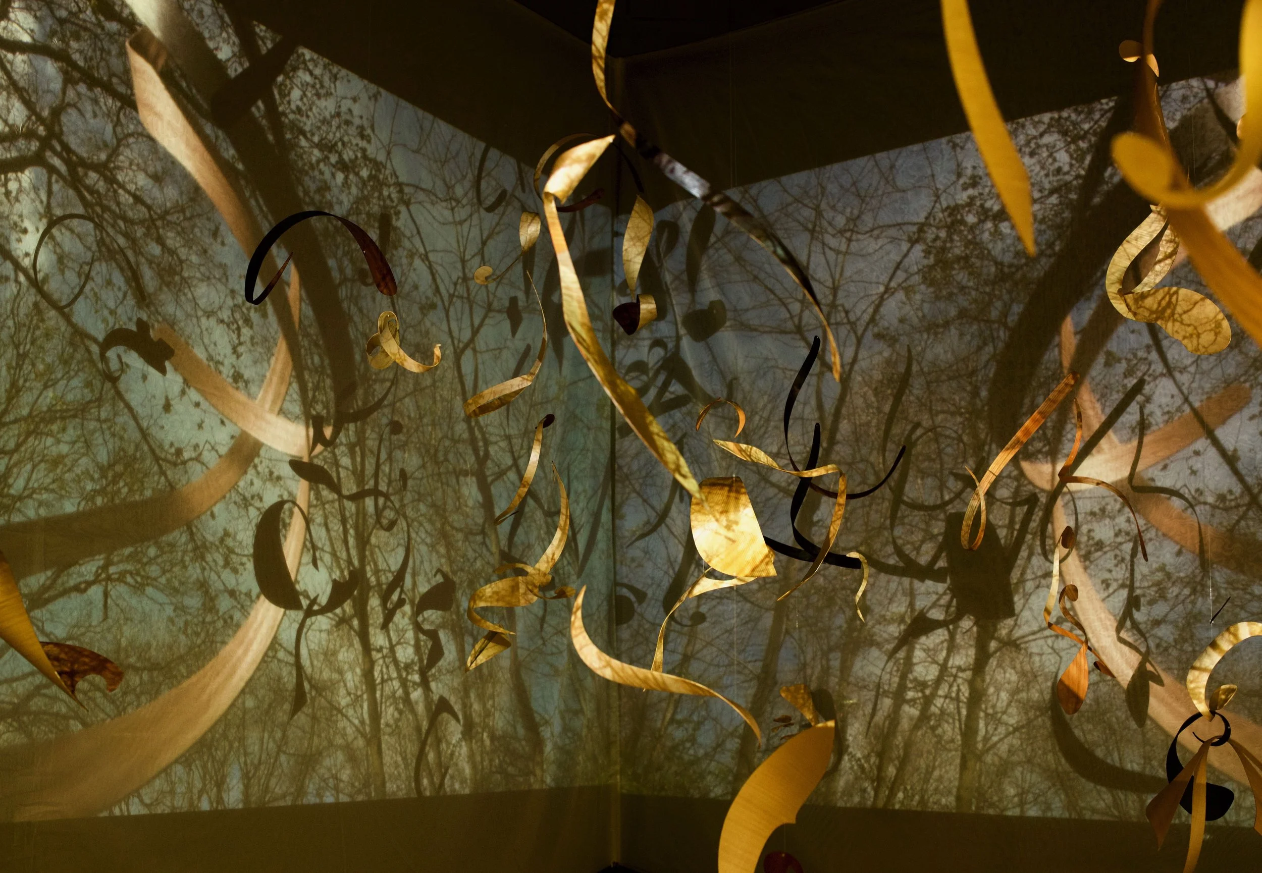 Windermere Jetty Museum — Dovetailing