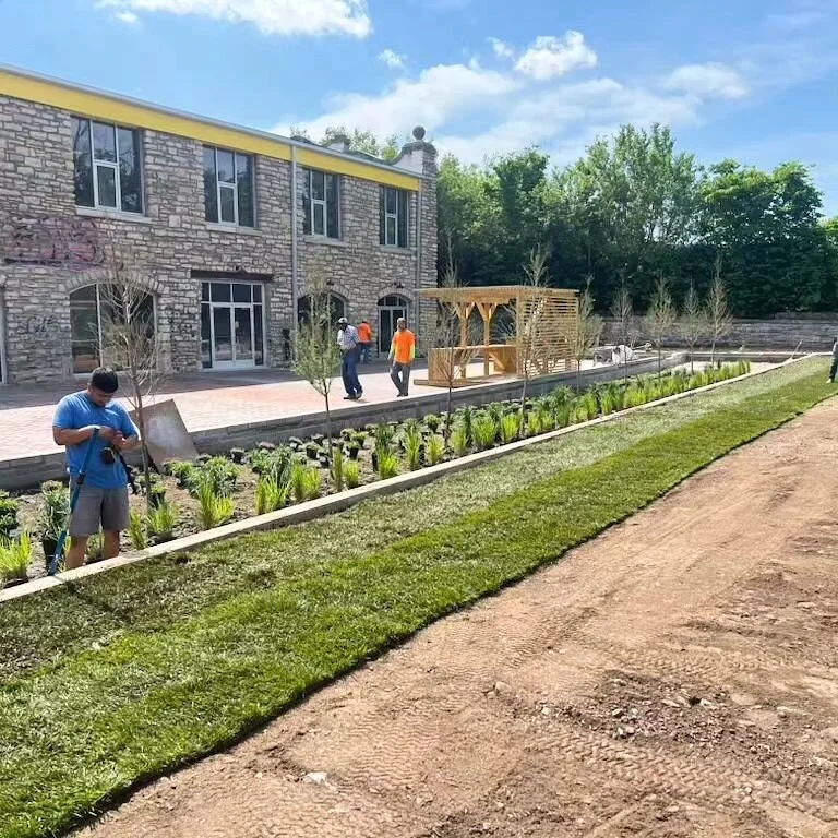 Vine Street Brewing Co.