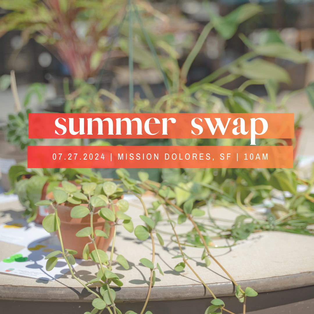 Summer Swap 2024 — Seed and Soul Club