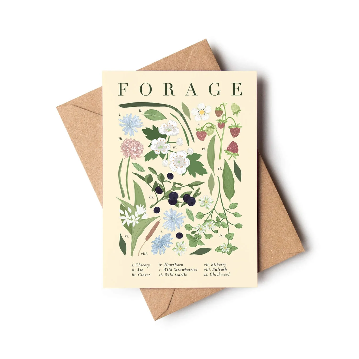 Eco-conscious Botanical Cards, Prints, Gifts & Wedding Invitations ...