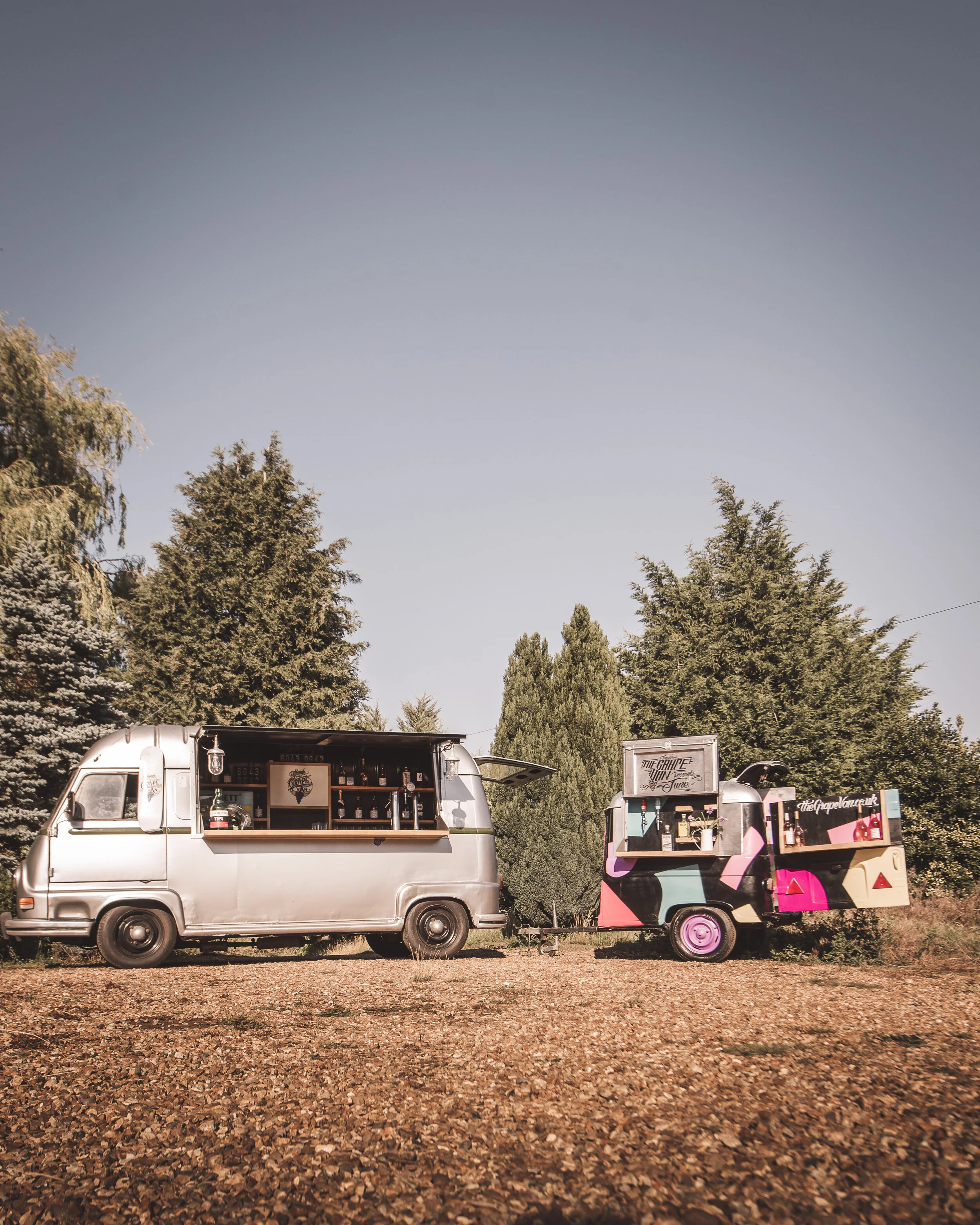 Grape Van