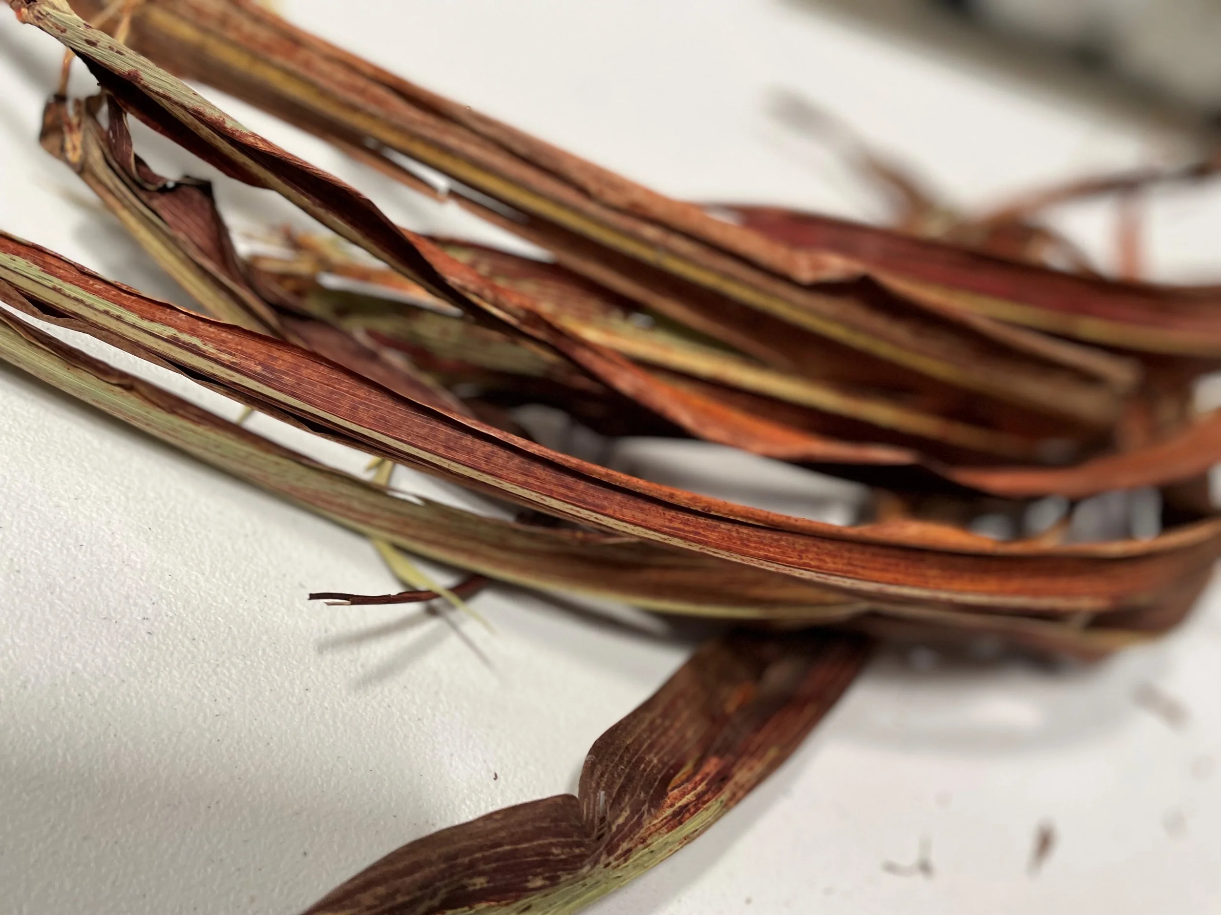 ReDaxin: The Once-in-a-Generation Natural Ingredient You Have to See to ...