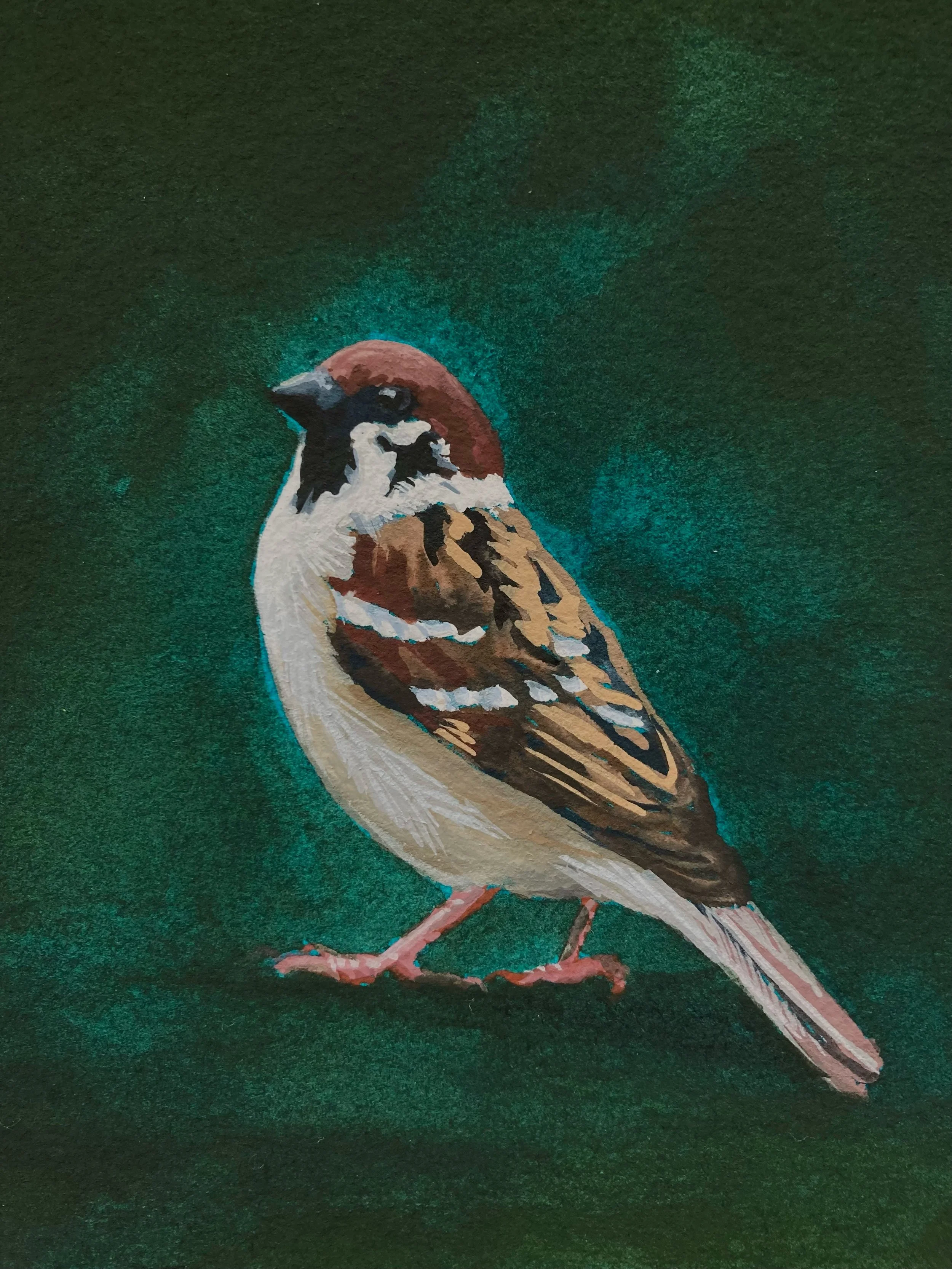 Original Paintings — noelle holler