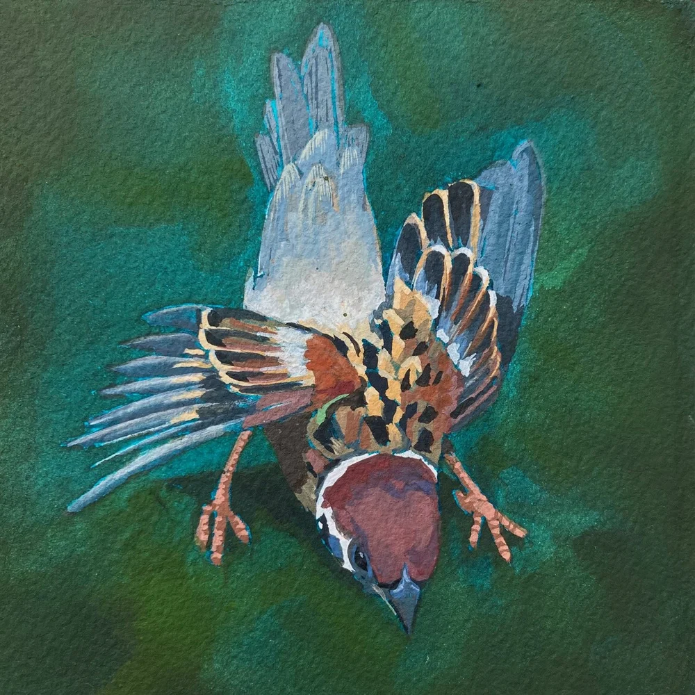 Original Paintings — noelle holler