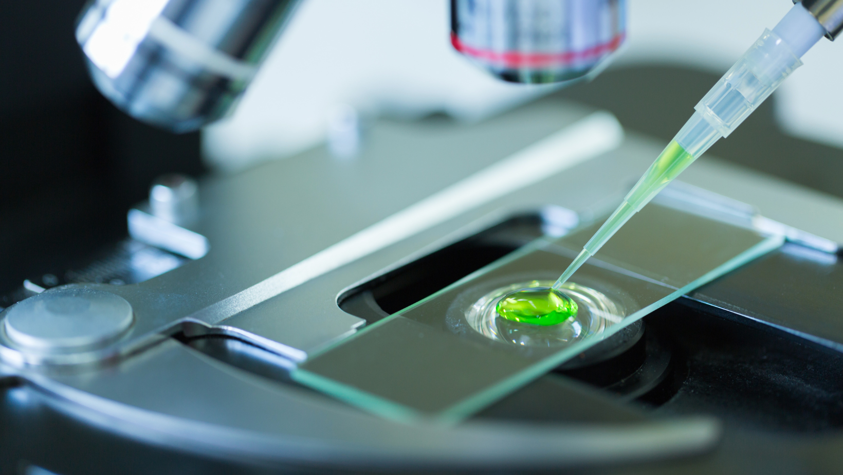 Specialized Life Science Research Products & Antibodies | Cedarlane ...