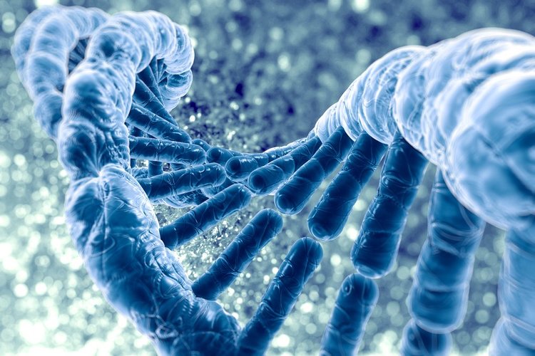 Specialized Life Science Research Products & Antibodies | Cedarlane ...