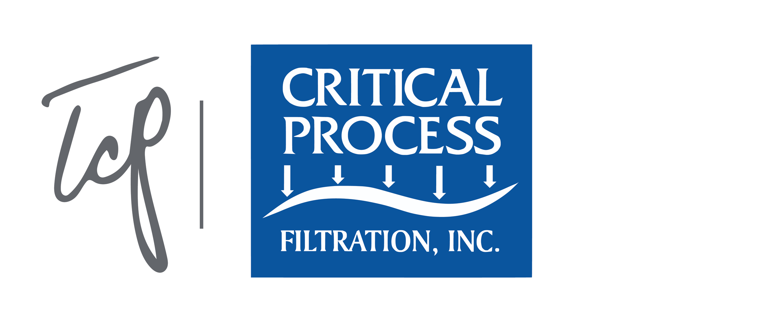 Custom-Engineered Filtration Solutions | Critical Process Filtration ...