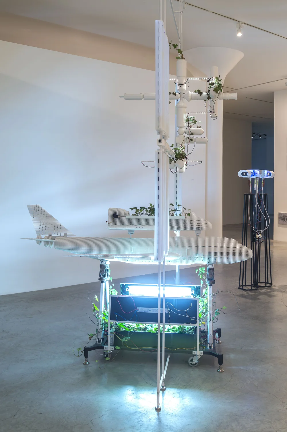 Jonathan Bruce Williams — Columbia University School of the Arts Visual ...