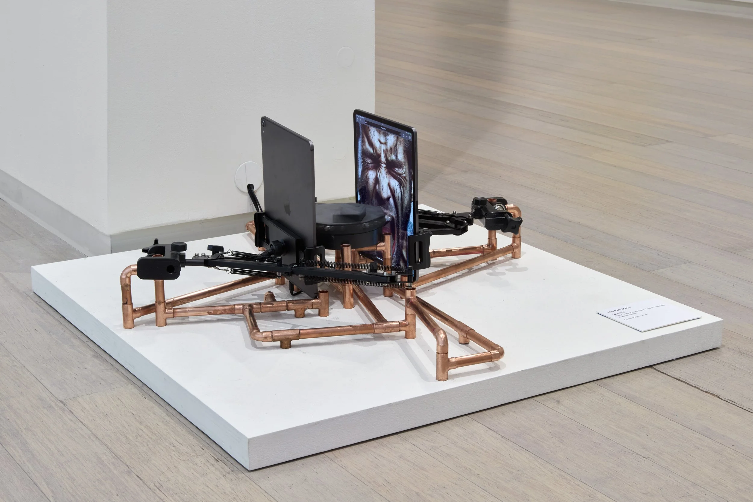 Yehwan Song — Columbia University School of the Arts Visual Arts