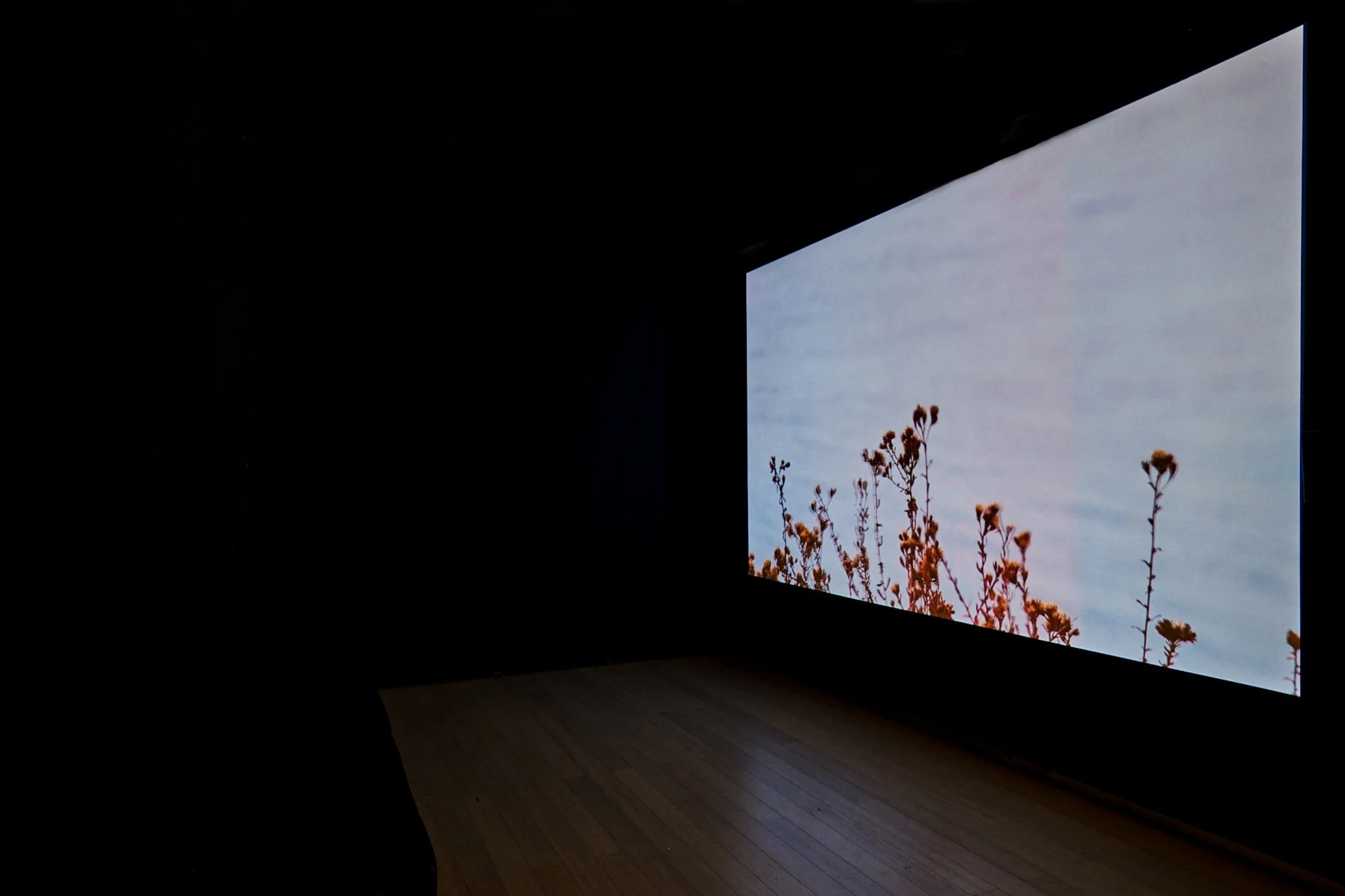 Leena Kim — Columbia University School of the Arts Visual Arts