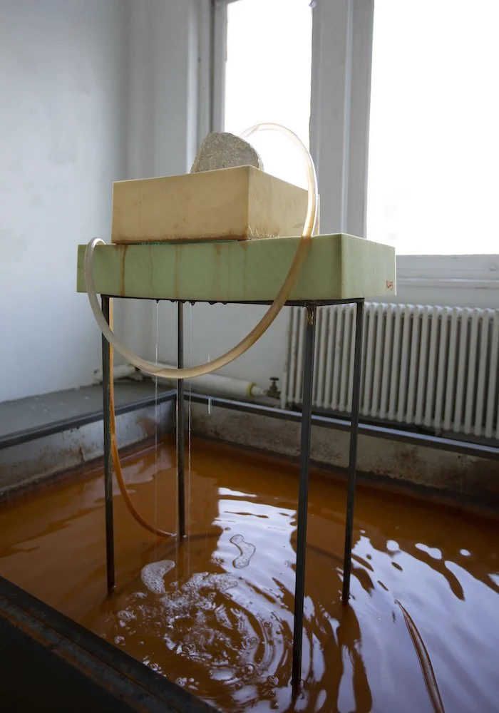 Coco Young — Columbia University School of the Arts Visual Arts