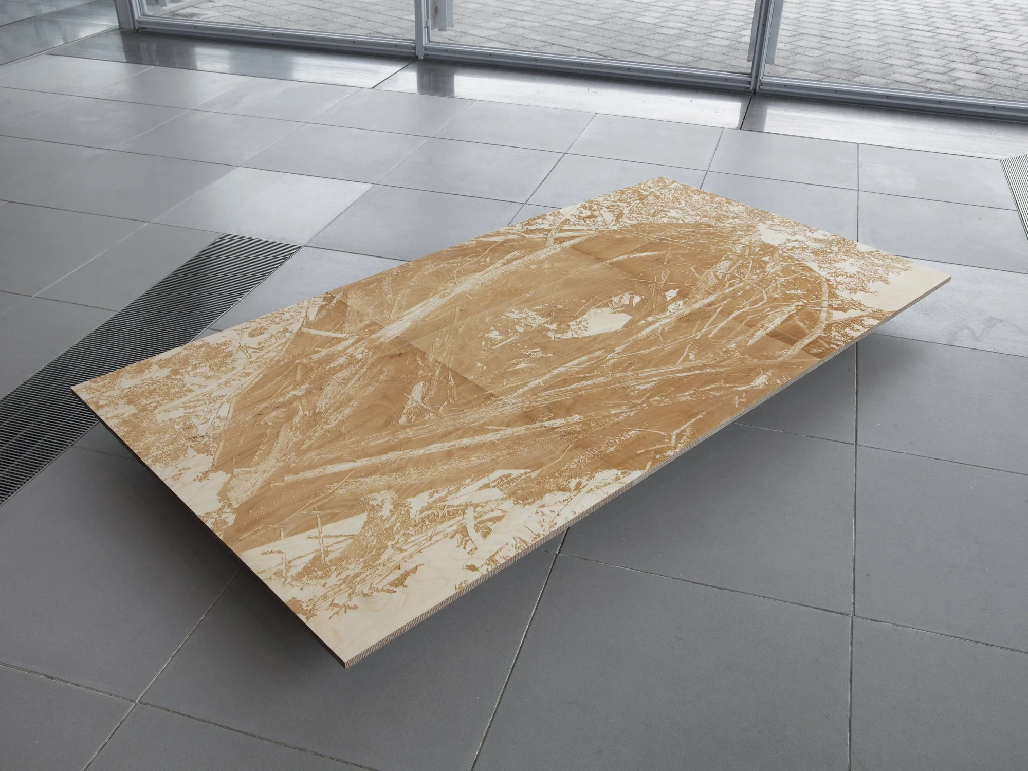 Meaghan Elyse Lueck — Columbia University School of the Arts Visual Arts