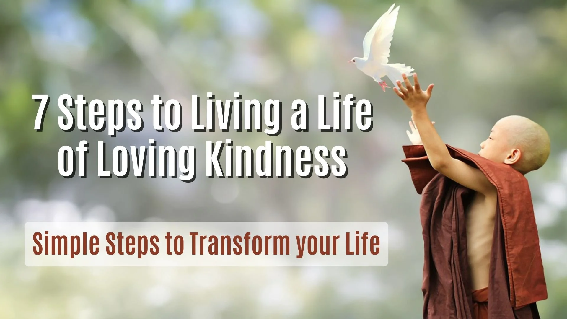 7 Steps to Living a Life of Loving Kindness