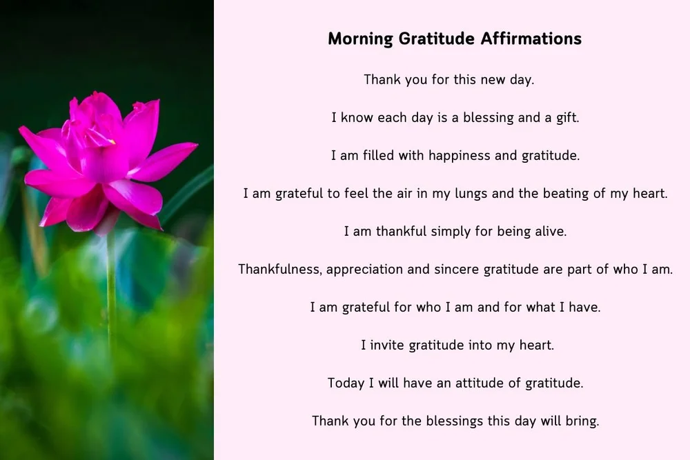 Morning Gratitude Meditation