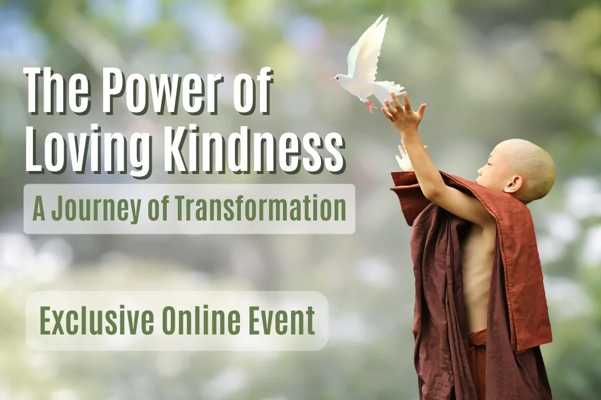 Power of Loving Kindness: A Journey of Transformation